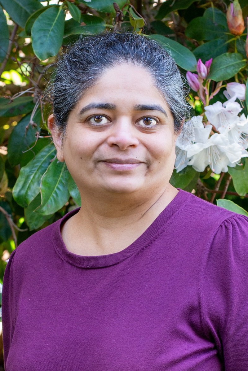 From the Chair – December 2024 | Department of Chemistry | University of Washington